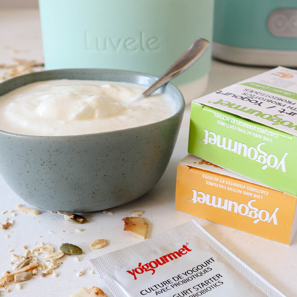Yogurt starter cultures recommended for SCD GAPS Luvele CA